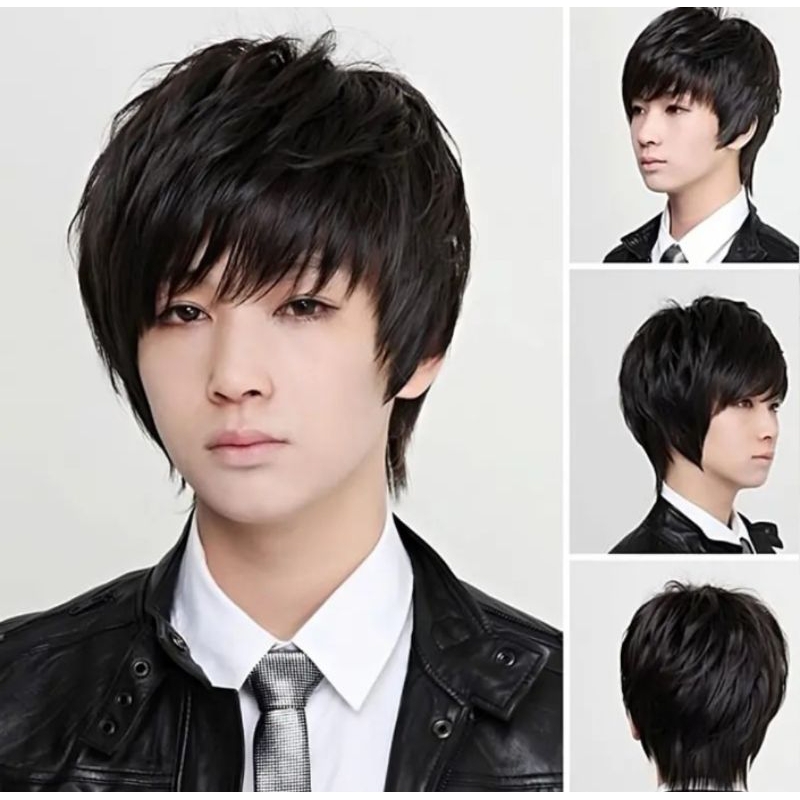Jual FULL WIG KOREA RAMBUT PALSU COWOK SATU KEPALA WIG COWOK 27 CM WIG ...