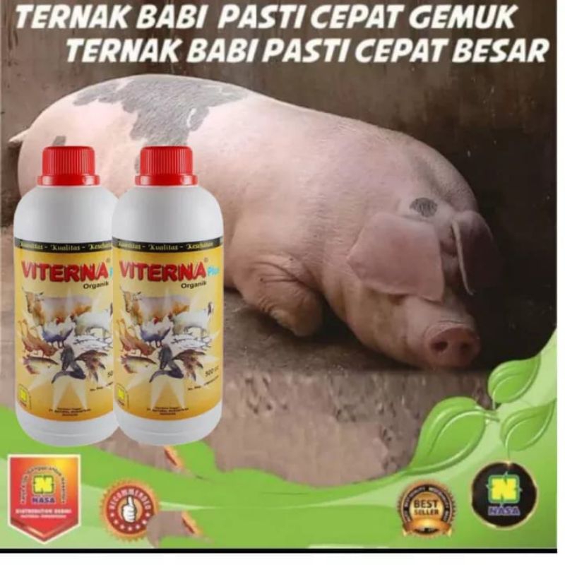 Jual Vitamin Babi / Viterna Plus / Vitamin ternak babi dan ikan ...