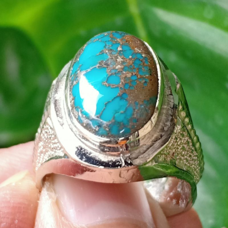Jual PIRUS PERSIA BIRU URAT EMAS * PERSIA ASLI IRAN *** | Shopee Indonesia
