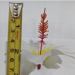 Jual SARI BUNGA SEPATU MERAH plastik BAHAN BUNGA (perkilo) | Shopee ...