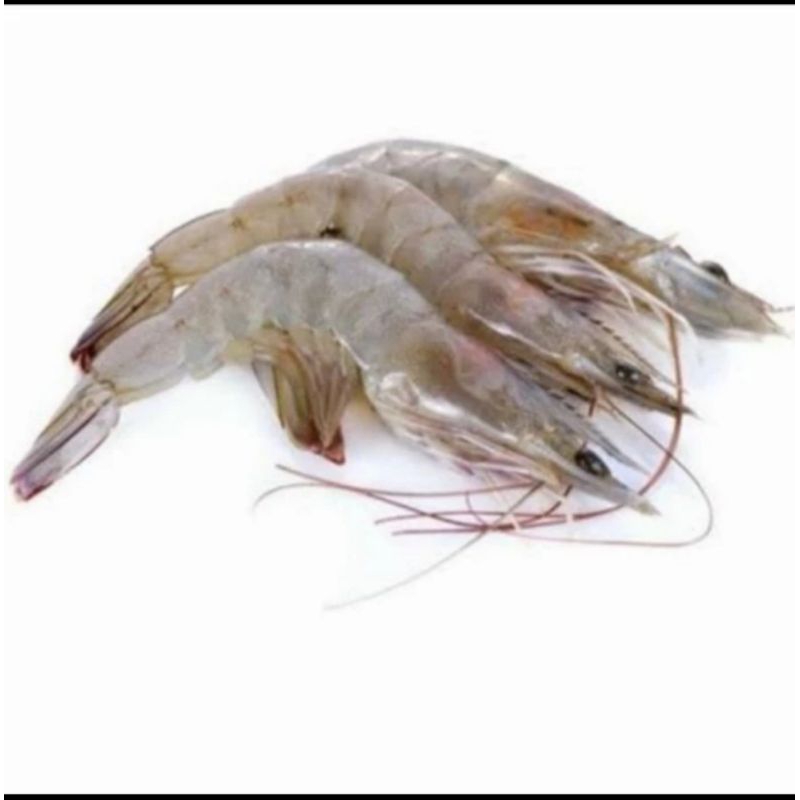 Jual Udang Fresh | Shopee Indonesia