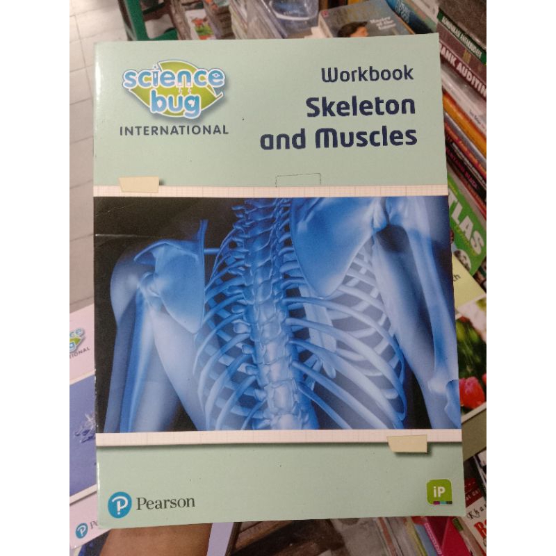 Jual Skeleton and Muscles.Workbook. | Shopee Indonesia