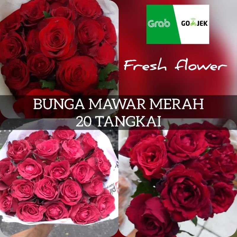 Jual mawar merah 20 tangkai | Shopee Indonesia