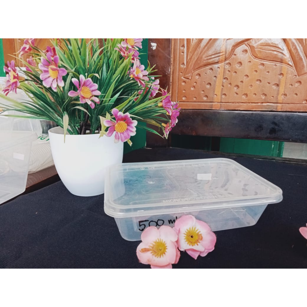 Jual Thinwall Kotak Food Container Box Tempat Makan Plastik Kotak Nasi