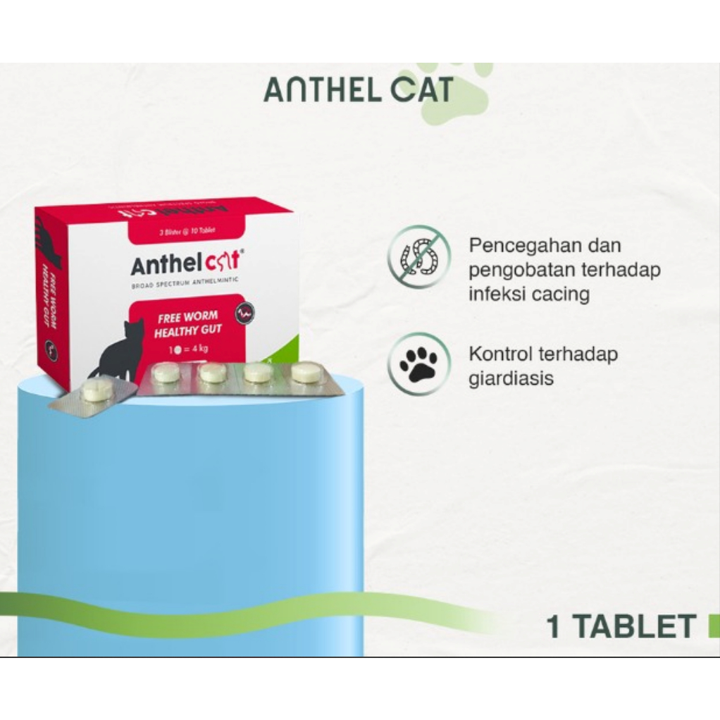 Jual Anthel Cat Obat Cacing 1 Tablet | Shopee Indonesia