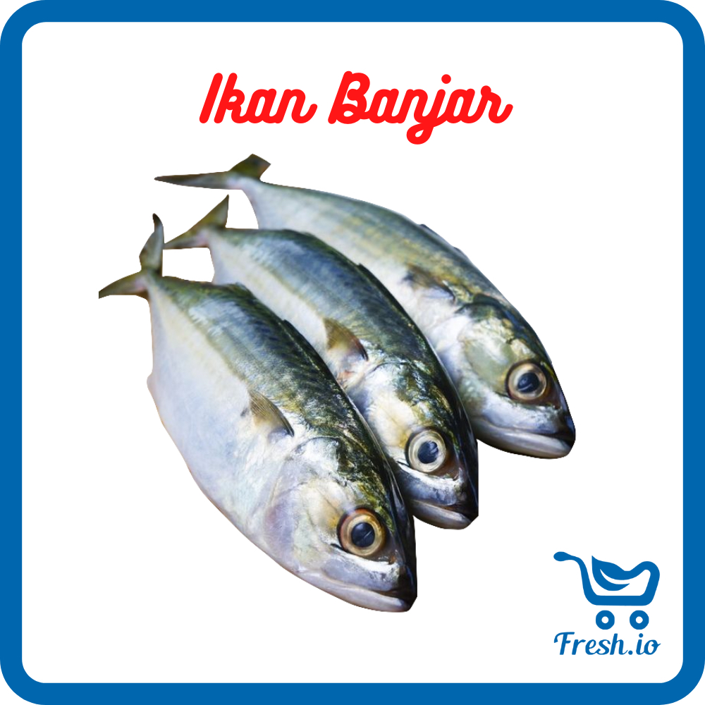 Jual Ikan Banjar | Shopee Indonesia