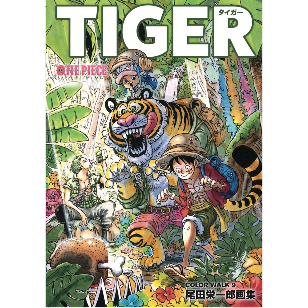 Jual Eiichiro Oda ONE PIECE Illustration Collection Artbook - COLORWALK ...