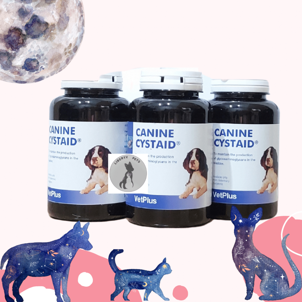 Jual Canine Cystaid For Dog Vetplus Obat Saluran Kemih Kencing Anjing ...
