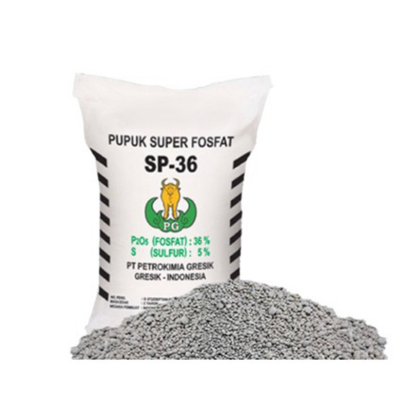 Jual PUPUK SP-36 KEMASAN 1 KG | Shopee Indonesia