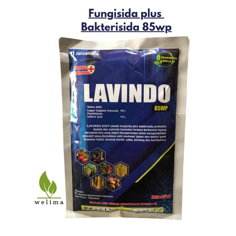 Jual Fungisida plus Bakterisida Lavindo 85wp Untuk layu fusarium busuk ...