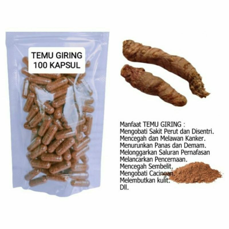 Jual TEMU GIRING Kapsul Herbal Alami Kemasan Hemat - isi 100 pcs ...
