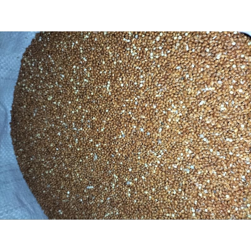 Jual millet merah per kg | Shopee Indonesia