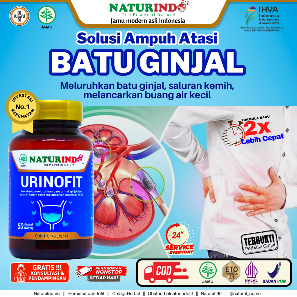 Jual Obat Batu Ginjal Tanpa Operasi Dan Pinggang Sakit Prostat Batu ...