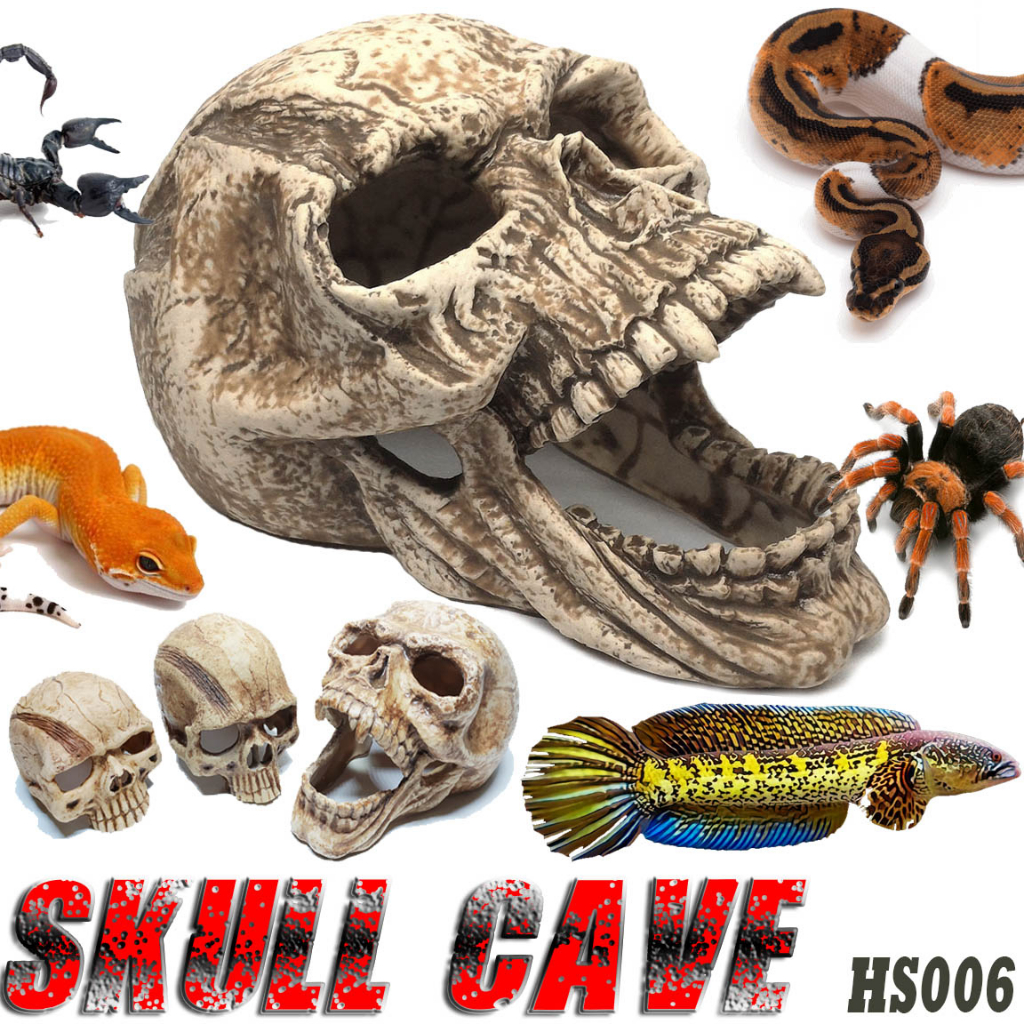 Jual HS006 HIDING CAVE SKULL KERANGKA KEPALA MANUSIA HUMAN SKELETON ...