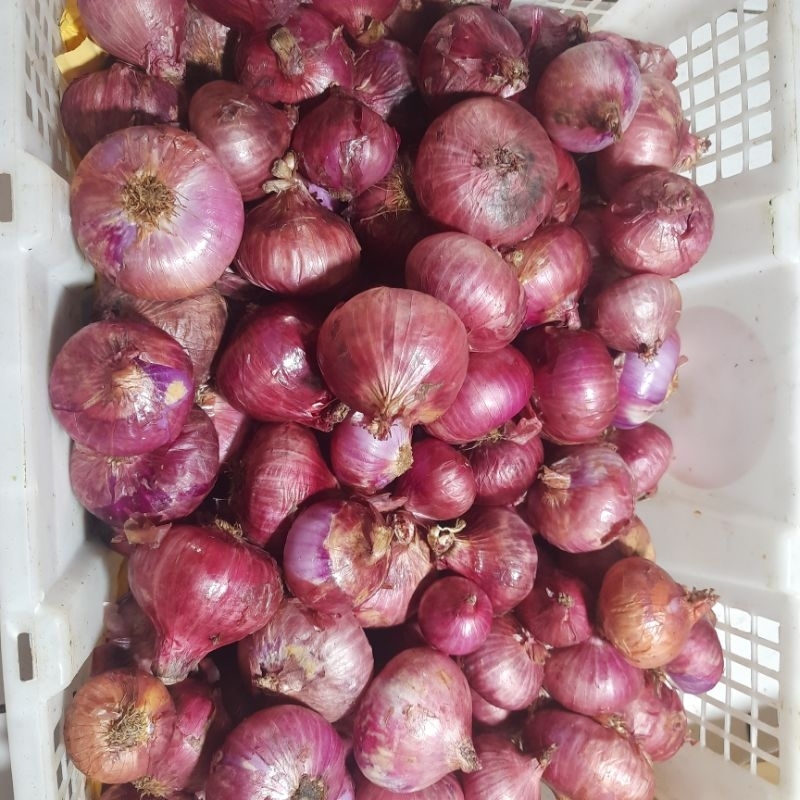 Jual bawang merah india 1 kg / bawang peking | Shopee Indonesia