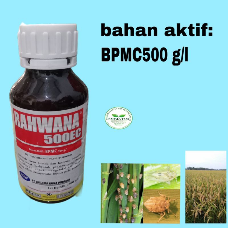 Jual RAHWANA 500EC/BPMC/hama wereng/wereng coklat/wereng hijau/kutu ...