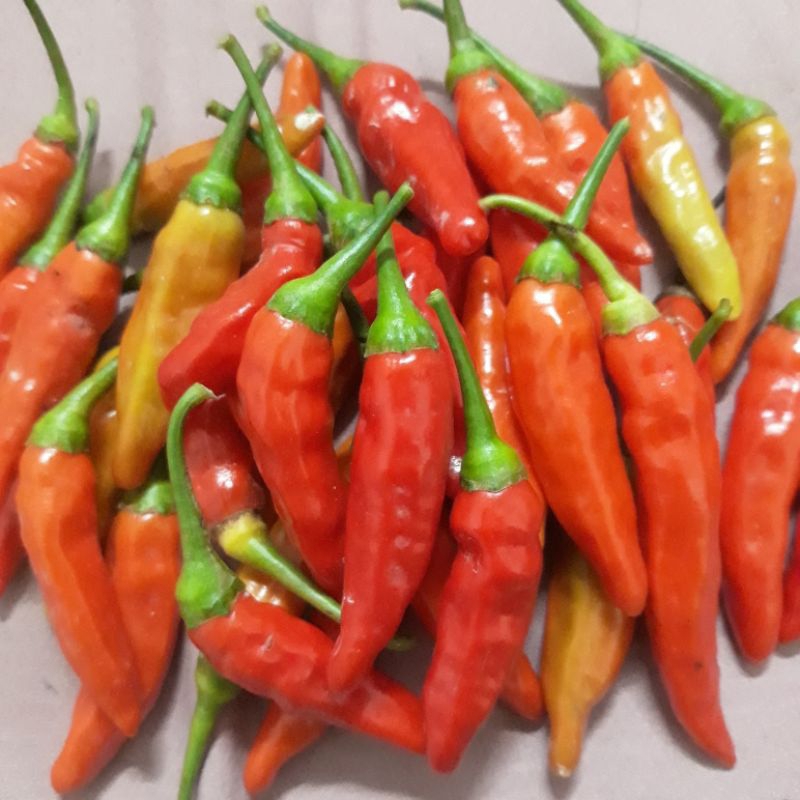 Jual Cabe Rawit merah segar 100gr/250/500 | Shopee Indonesia
