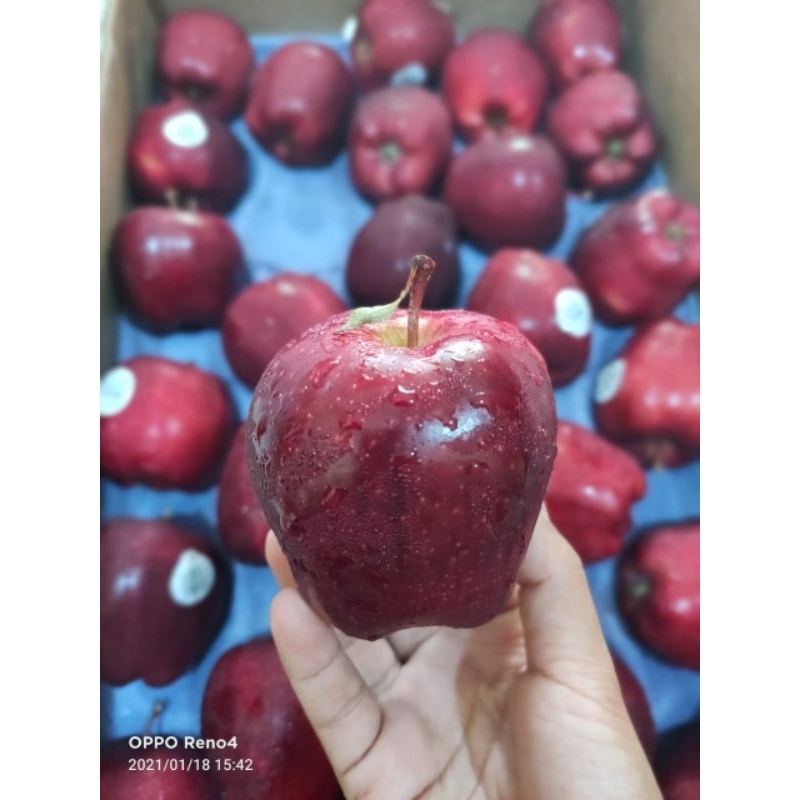 Jual Apel Merah Terlengkap & Harga Terbaru Mei 2026 | Shopee Indonesia