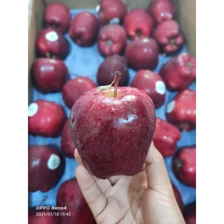 Jual Apel Merah Terlengkap & Harga Terbaru Juni 2024 | Shopee Indonesia
