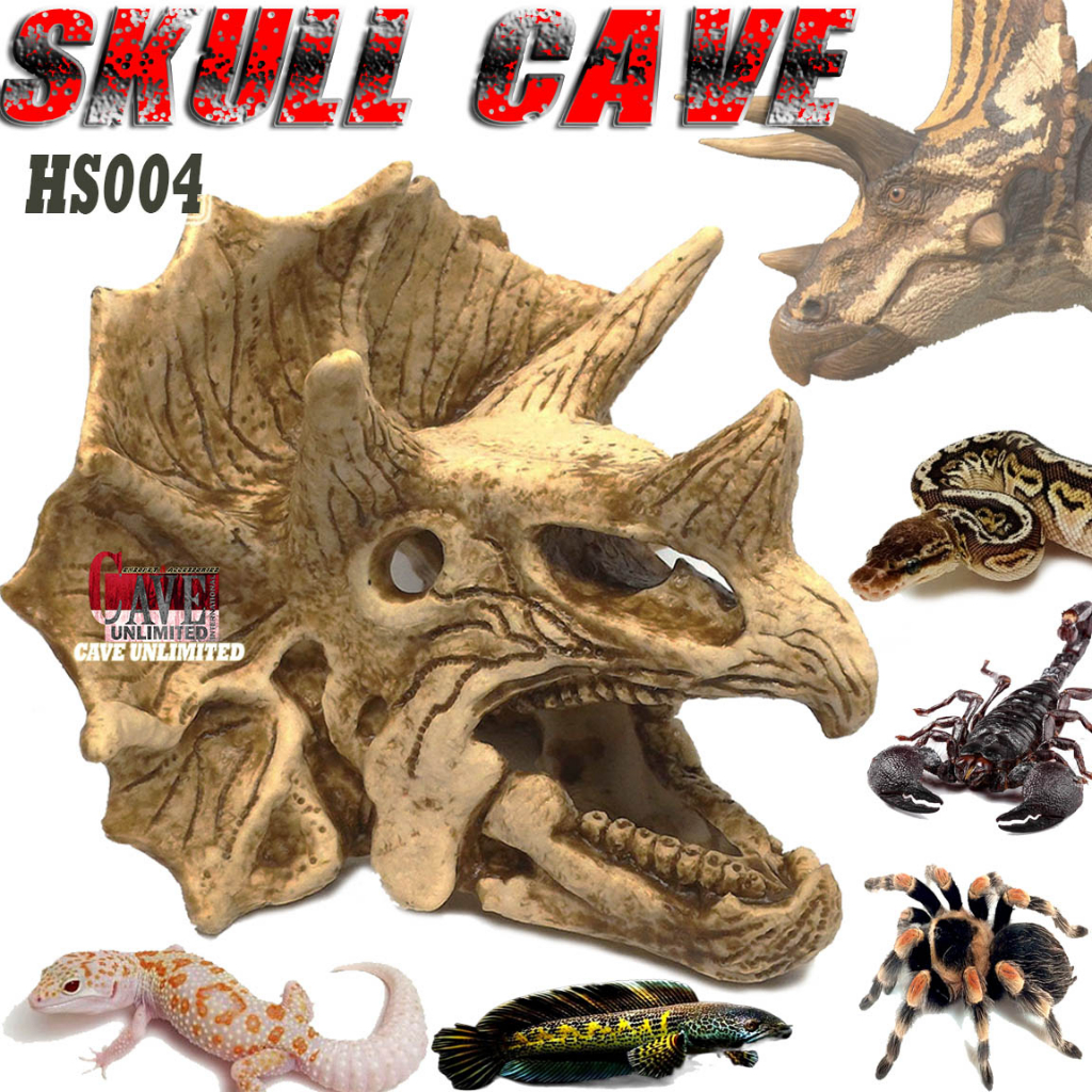 Jual HS004 HIDING CAVE SKULL TENGKORAK KERANGKA SKELETON FOSIL ORNAMEN ...