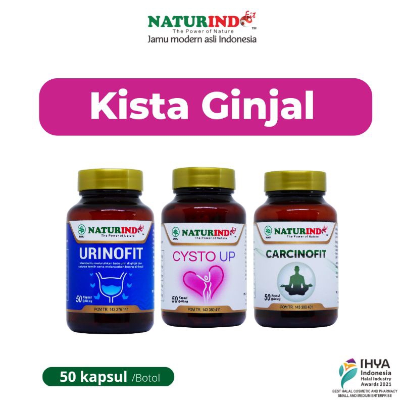 Jual Obat kista dan miom myom Herbal Coklat Kista endometriosis cysta ...