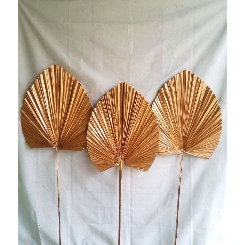 Jual Daun kering palem rustik +-25cm | Shopee Indonesia