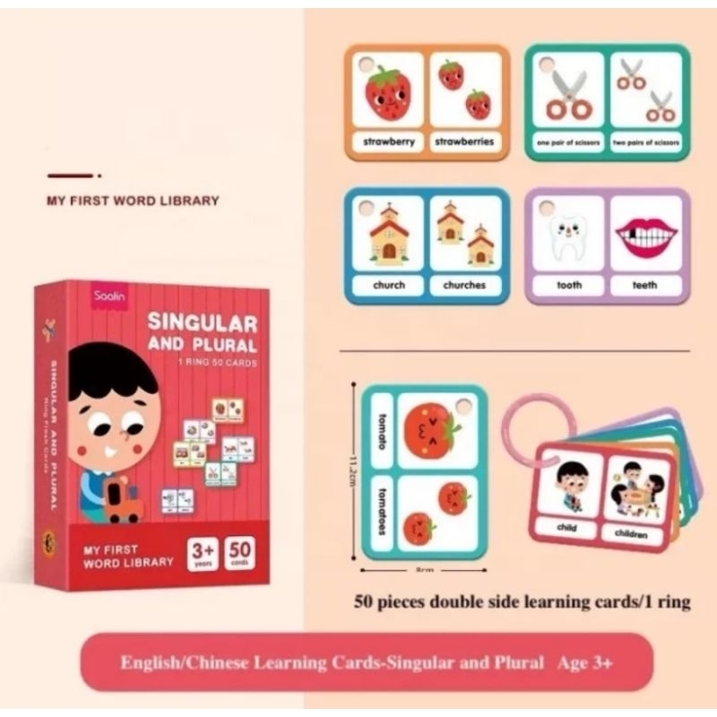 Jual Saalin Singular Plural first word library belajar Inggris Flash ...