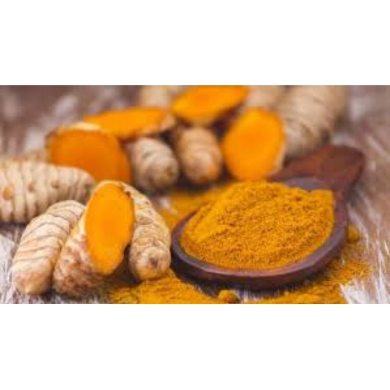 Jual kunyit/kunir 1 kg | Shopee Indonesia