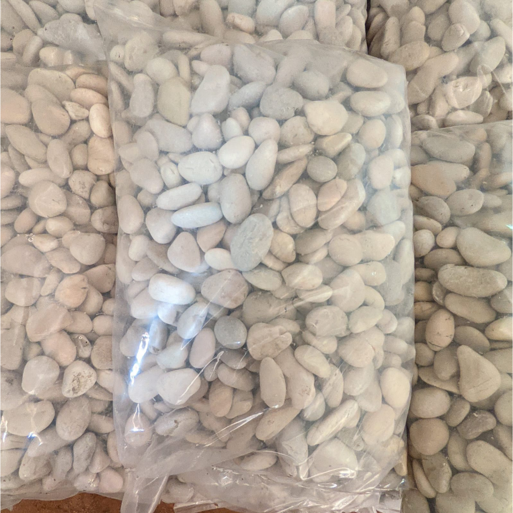 Jual Batu Koral Putih Hiasan Taman / Aquascape 10 KG | Shopee Indonesia