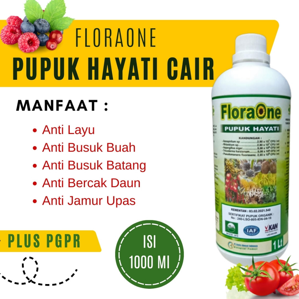 Jual Pupuk Hayati PGPR Rhizobium SP, Pupuk Untuk Meningkatkan Masa ...