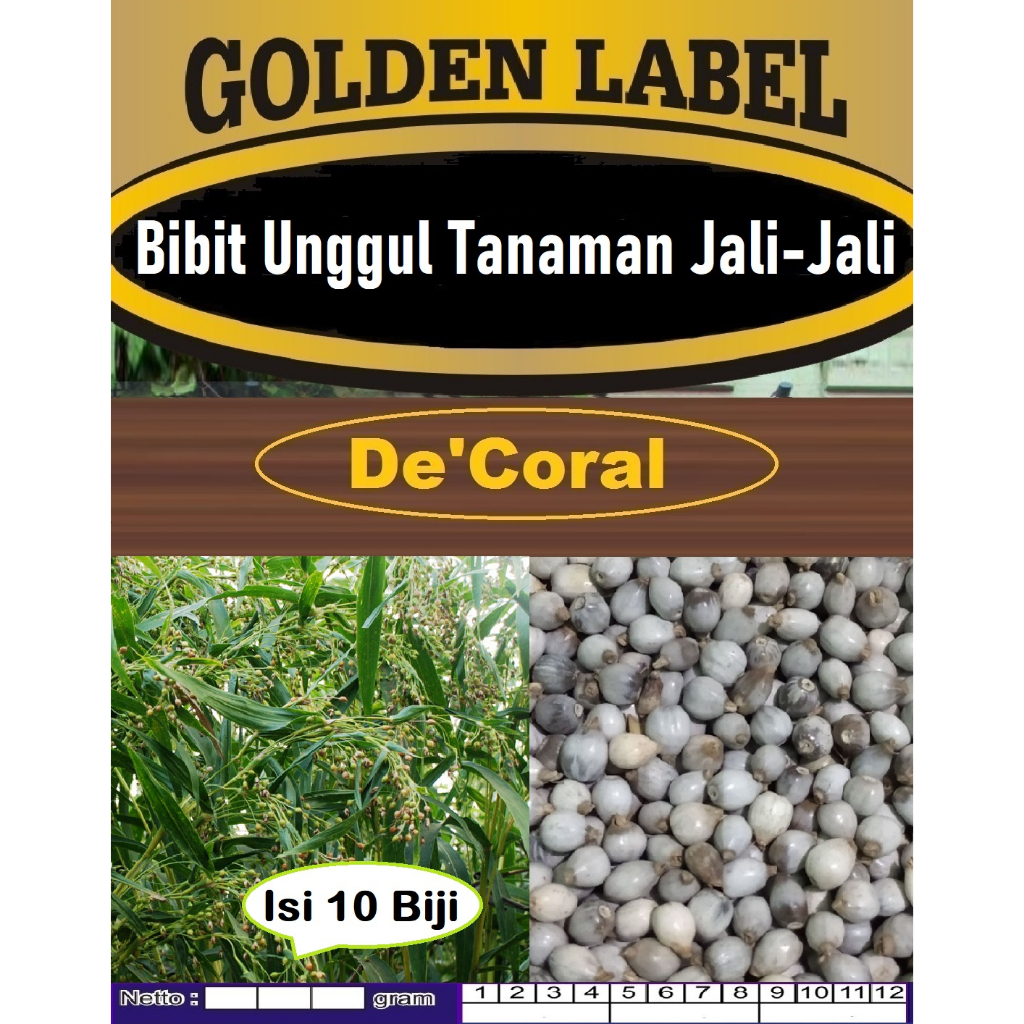 Jual Bibit Unggul Tanaman Jali-jali|Biji Bibit Jali|Bibit barley|Biji ...