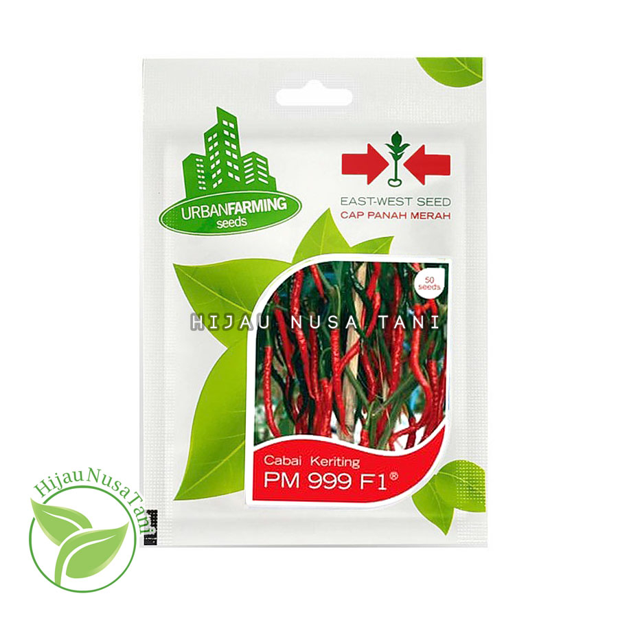 Jual Benih Cabai Keriting PM999 PM 999 F1 Cap Panah Merah East West ...