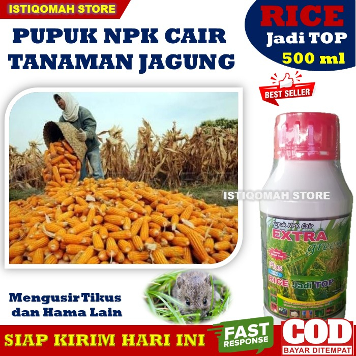 Jual Pupuk Cair Untuk Padi Dan Jagung Paling Ampuh RICE JADI TOP 500 Pupuk NPK Cair untuk ...