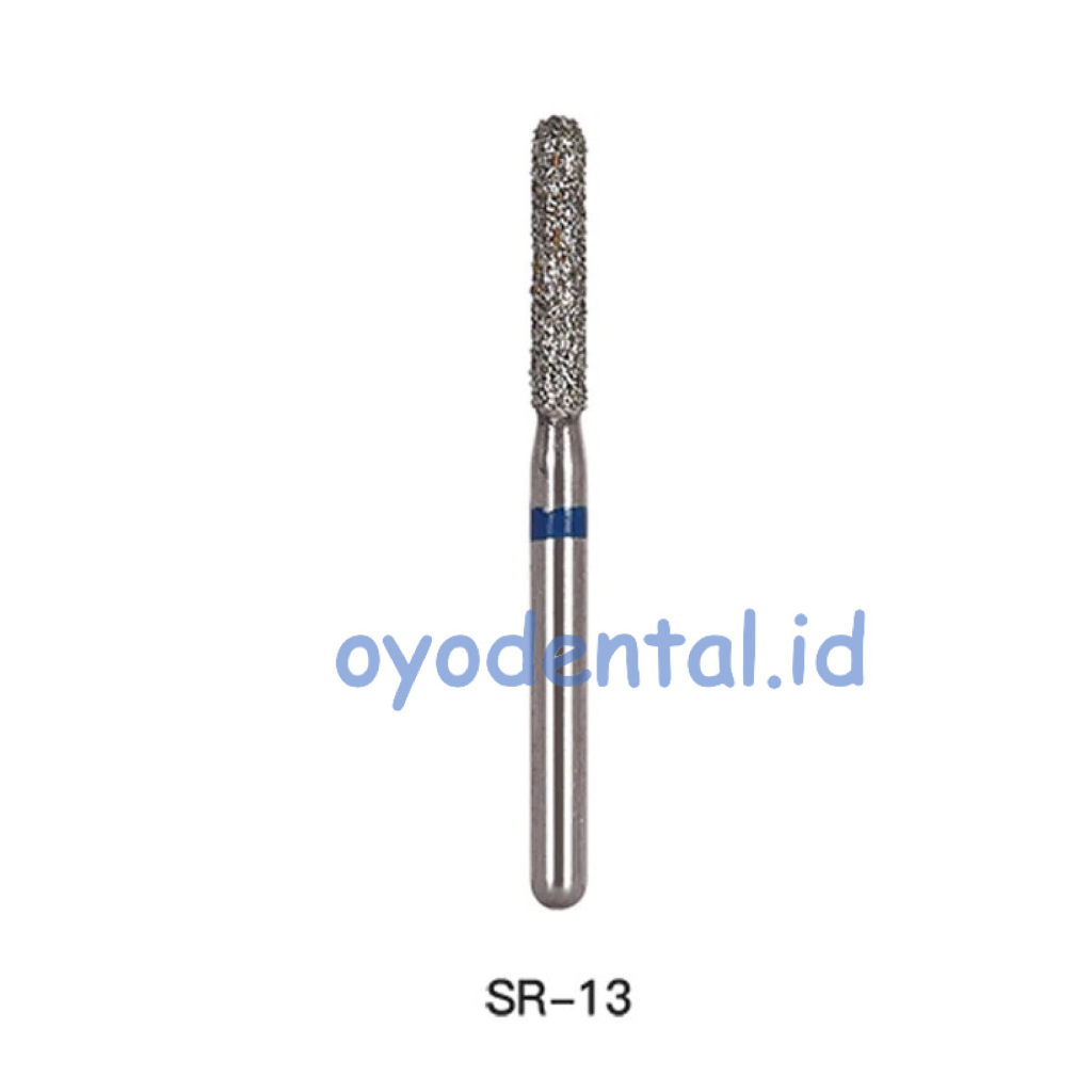 Jual Dental Diamond Bur High Speed Pita Biru Hijau SO SF SR SI TC / Mata Bur High Speed | Shopee ...