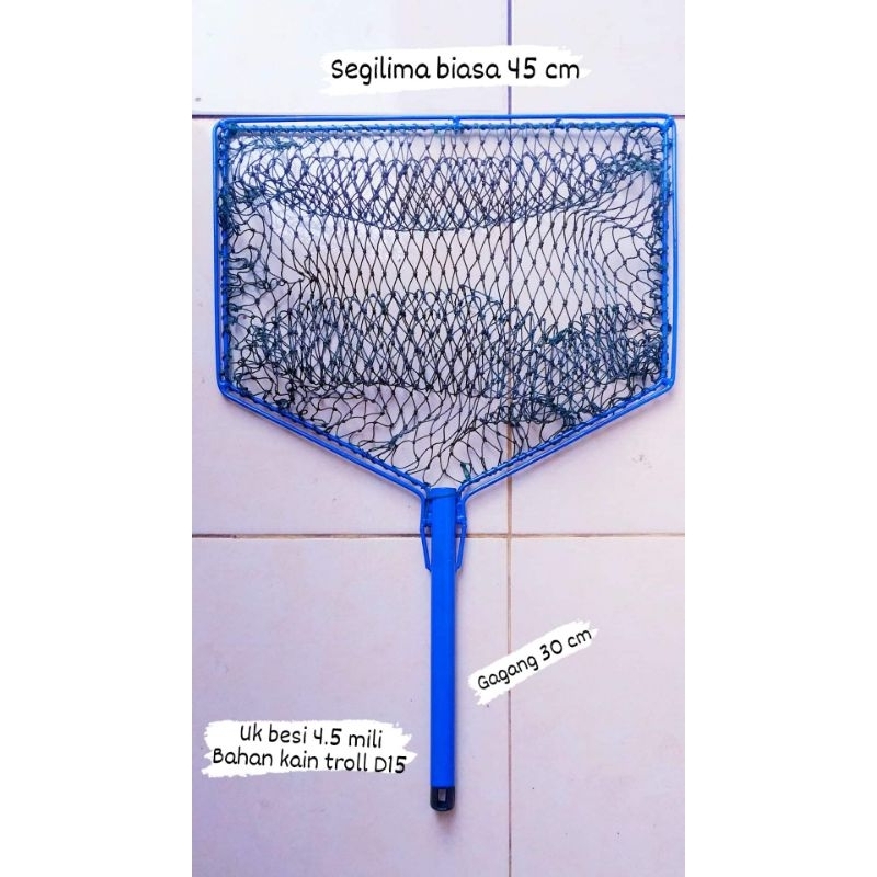 Jual seser segi lima konsumsi | Shopee Indonesia