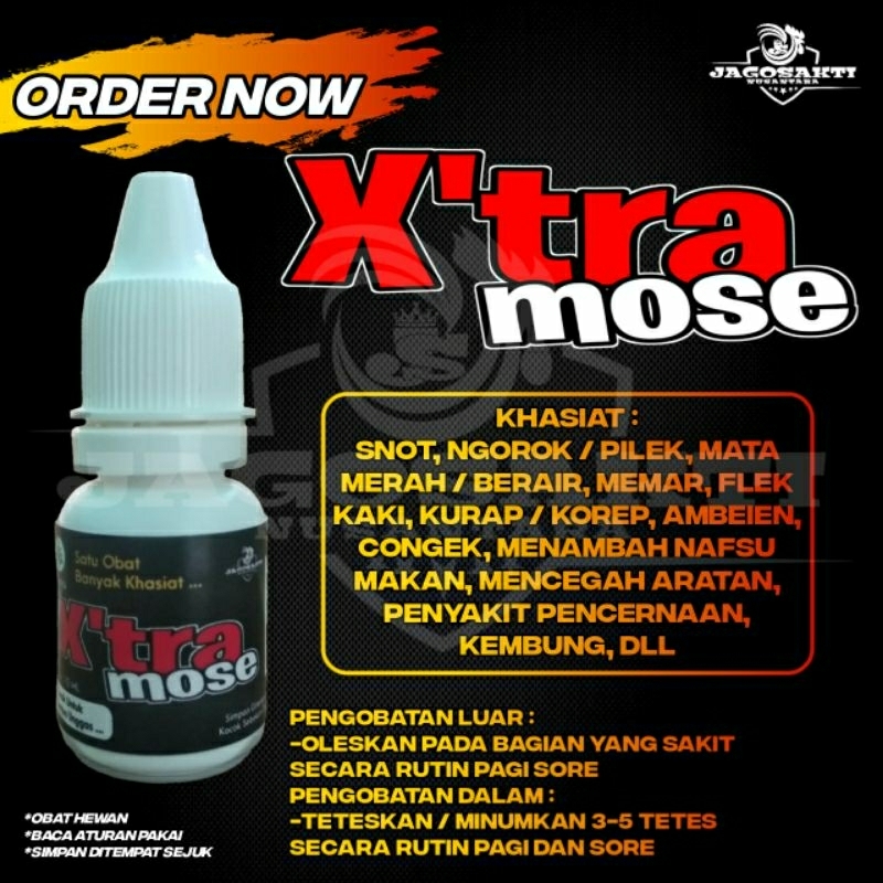 Jual OBAT NGOROK, SNOT, PILEK, BERAK DARAH KAPUR DLL PALING MANJUR ...