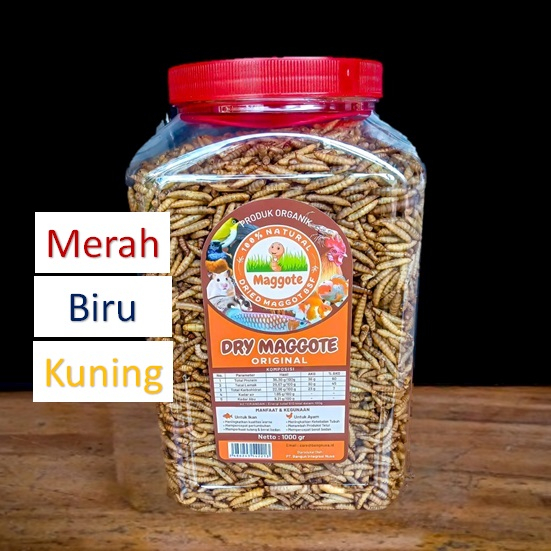 Jual Maggot kering WARNA 500 gram atau 1kg pakan magot bsf dalam Toples ...