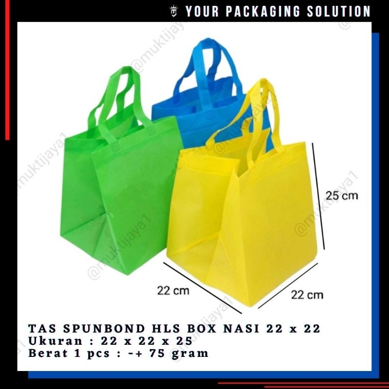 Jual TAS KOTAK NASI 22x22cm HLS BOX PRES POLOS / Spunbond / Goodie Bag / Tas Kain / Tas Kado ...