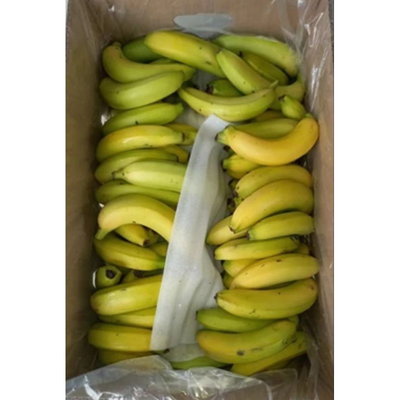 Jual Pisang Sunpride jenis 1 an / box / 13kg / 75 - 80 buah | Shopee ...