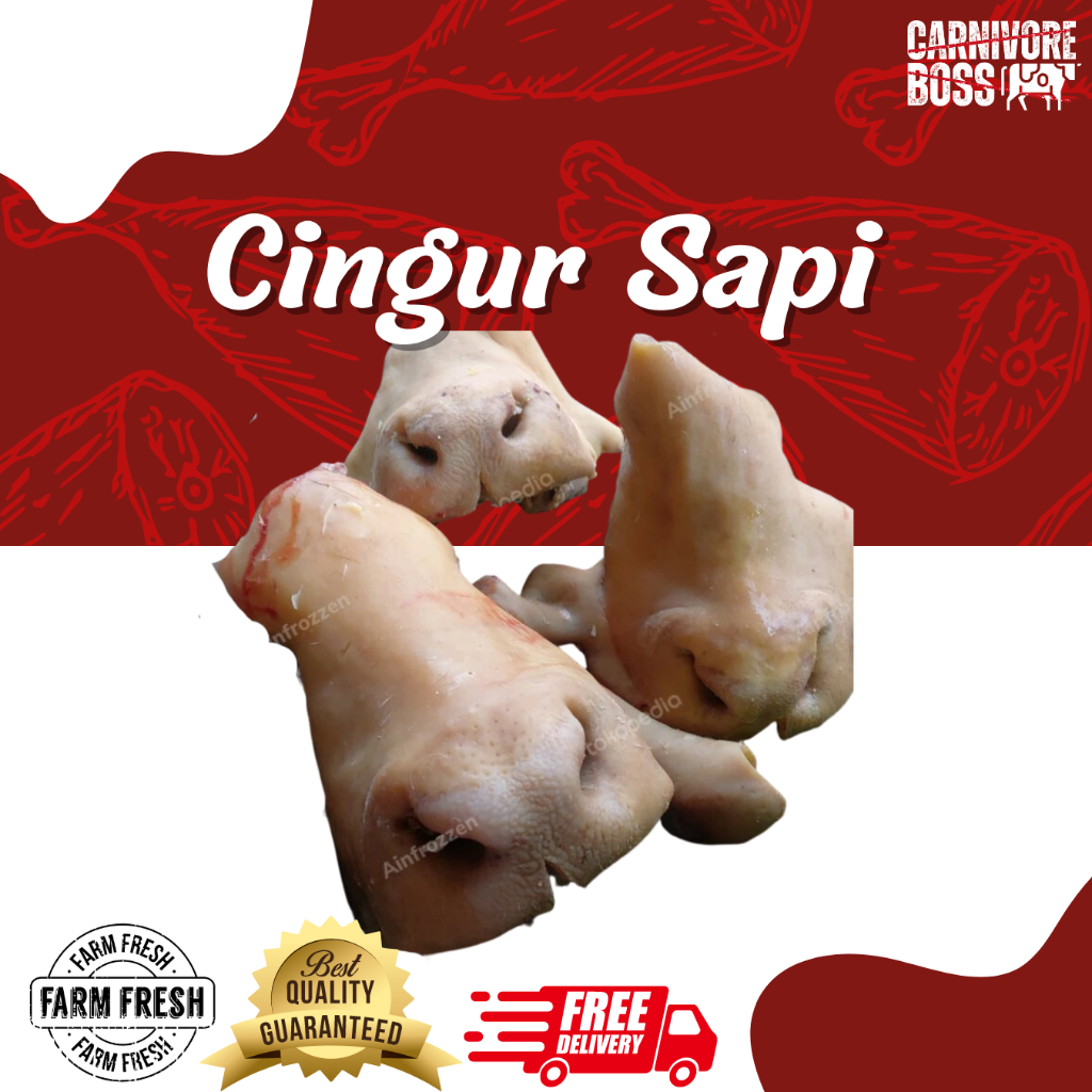 Jual CINGUR SAPI SUPER FRESH 2-3KG / CINGUR SAPI SEGAR REBUS / CINGUR ...