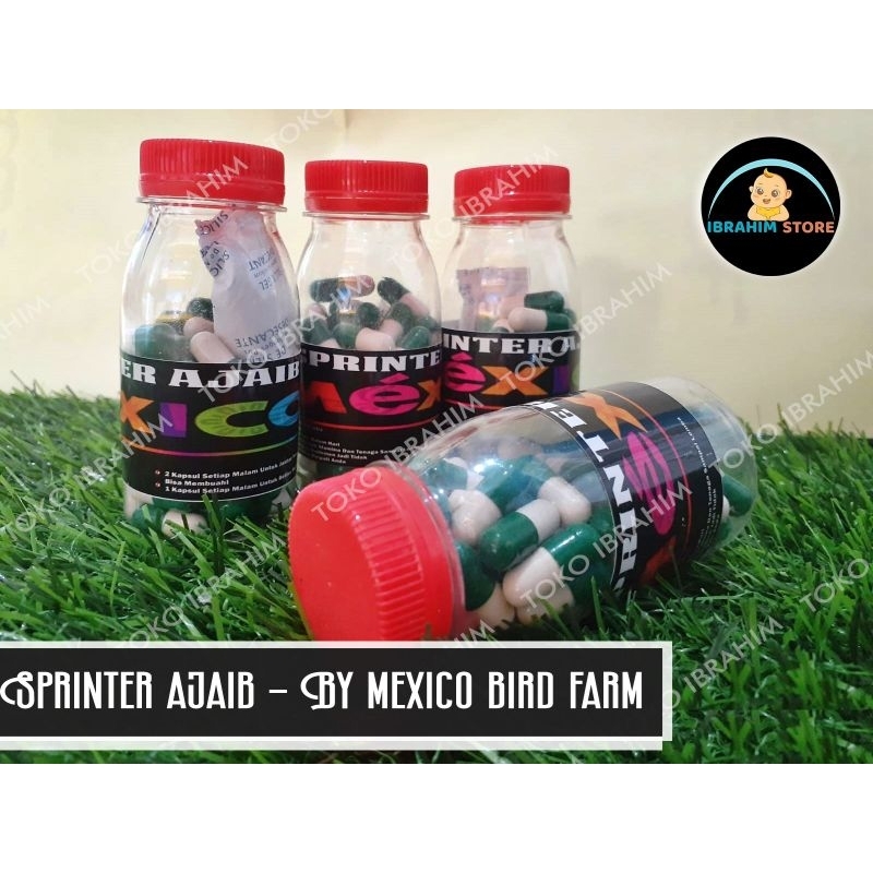 Jual Sprinter ajaib Jamu Merpati Mexico bird farm | Shopee Indonesia