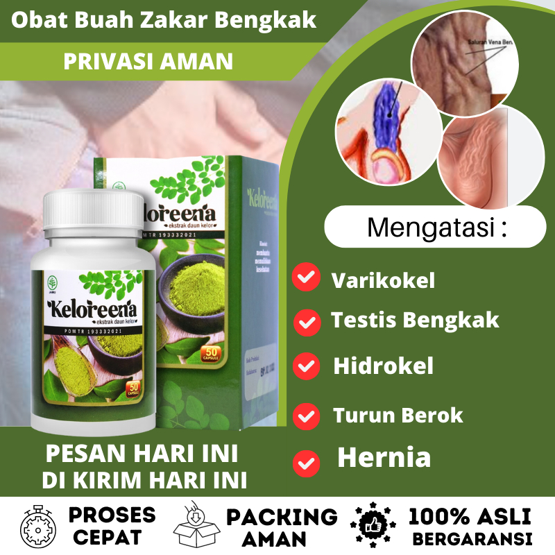 Jual Keloreena - Obat Varikokel, Obat Varikokel di buah zakar, Buah ...