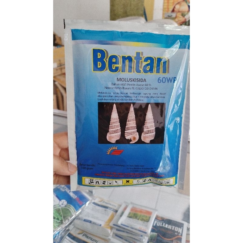 Jual BENTAN 60 WP (racunkeong)- 100 gram | Shopee Indonesia