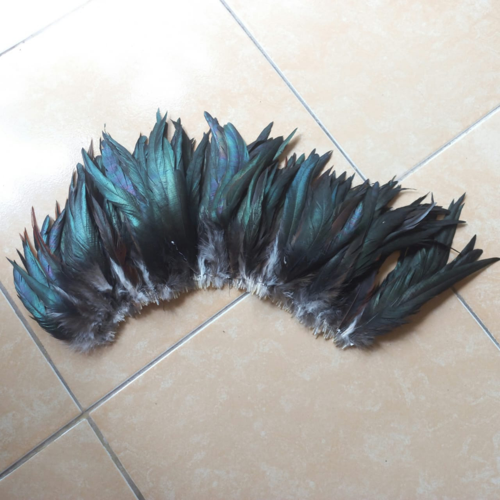 Jual Bulu Besar Halus Ayam Kampung Hitam Kualitas Premium Terbaik Bulu ...