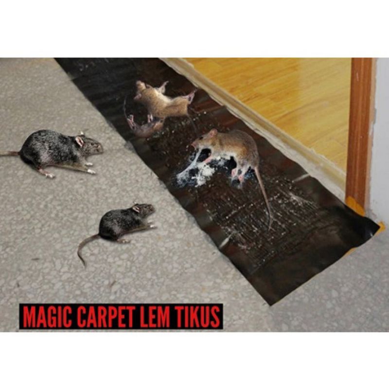 Jual magic karpet lem tikus kuat dan ampuh mengatasi hama tikus ...
