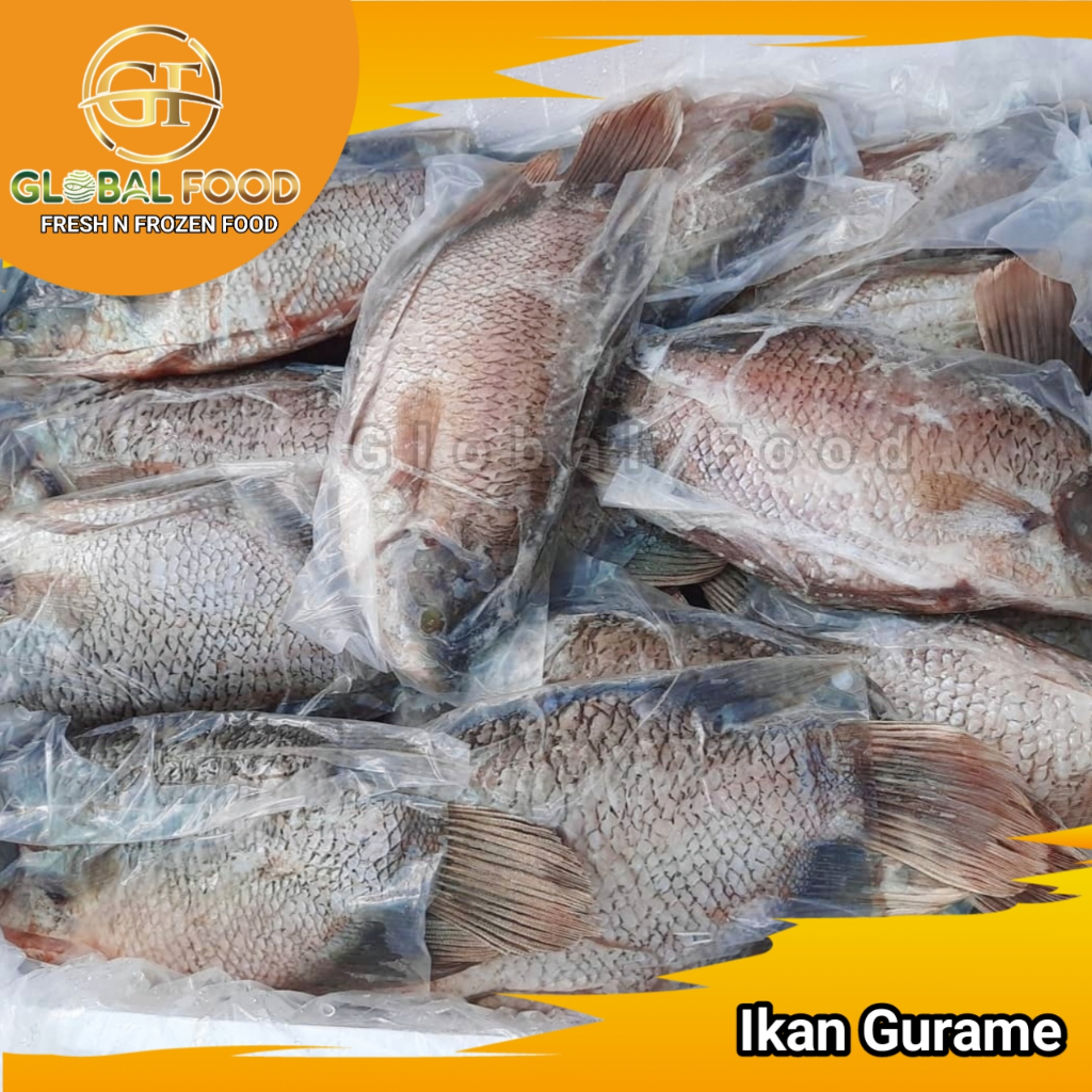 Jual Ikan Gurame Fresh Frozen (Jual per kg) | Shopee Indonesia
