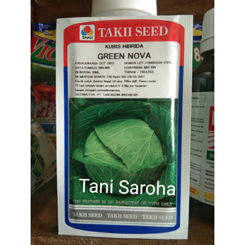 Jual BIBIT BENIH KOL GREEN NOVA HIBRIDA TAKII 20 ml | Shopee Indonesia