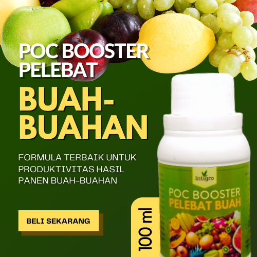 Jual Pupuk Booster Buah Buahan Organik Terbaik Penyubur Bunga Perangsang Akar Daun Buah Bunga ...