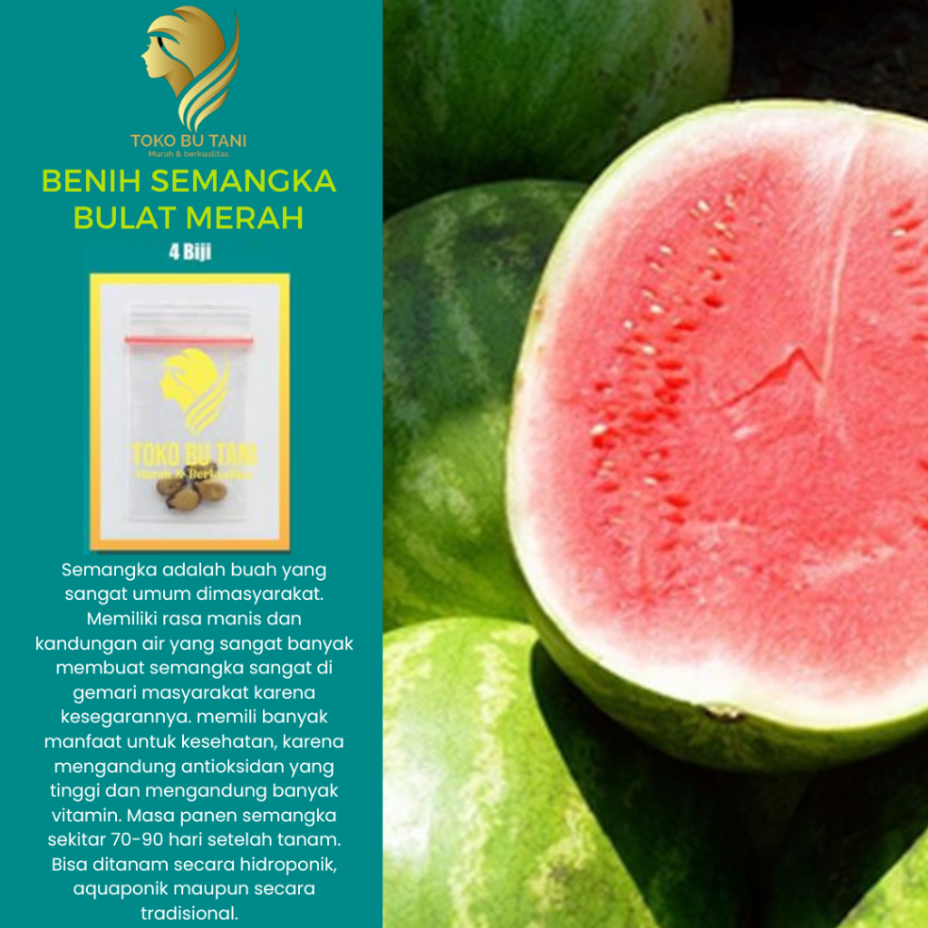 Jual Benih Buah Semangka Bulat Merah Bibit Buah Semangka Bulat Merah ...