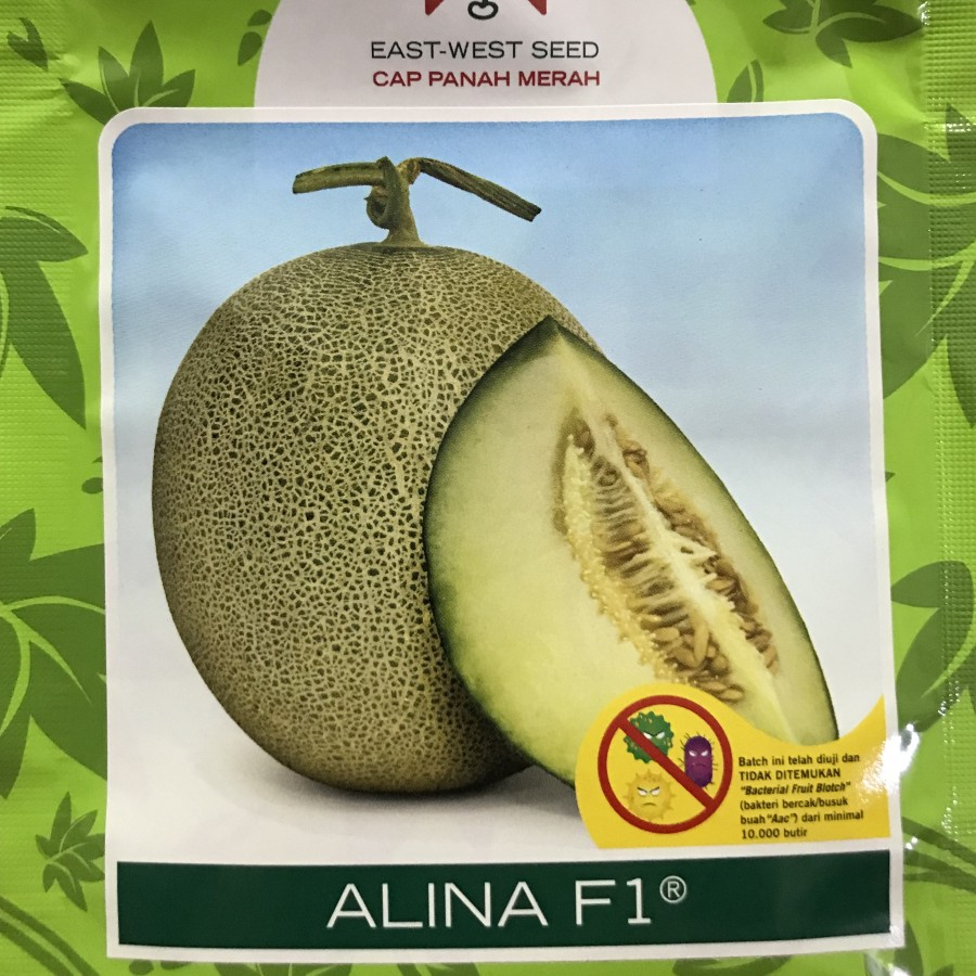 Jual Benih Melon Cap Panah Merah varietas Alina F1 500Btr | Shopee Indonesia